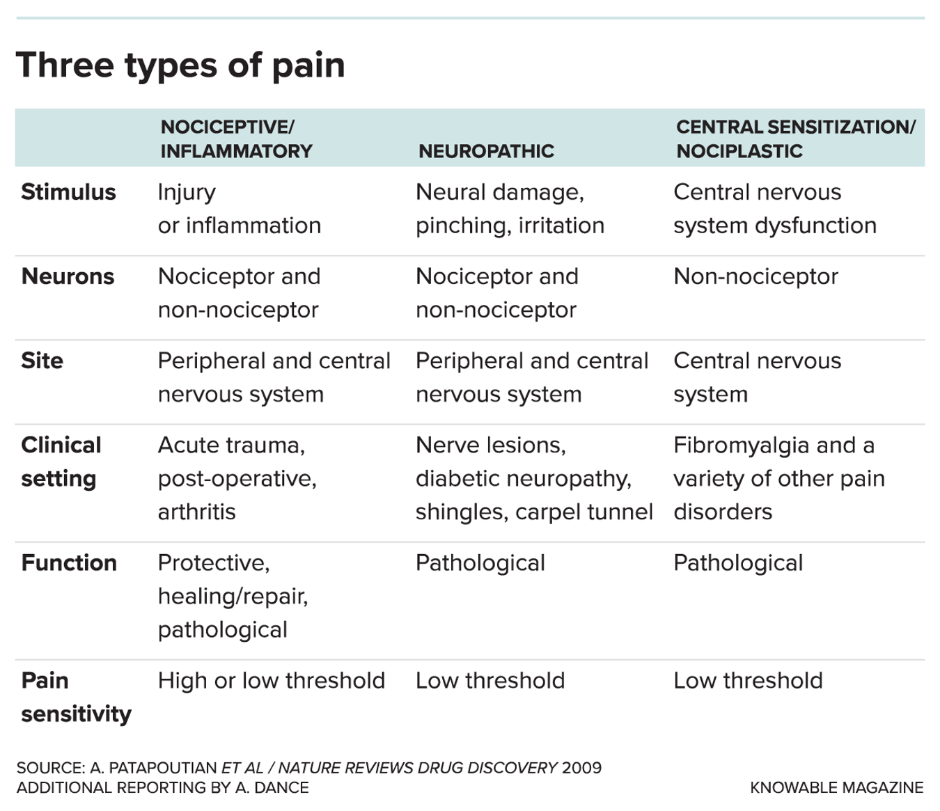 The Unexpected Diversity of Pain | Scientific American